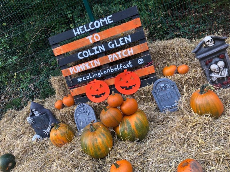 Activities - Colin Glen